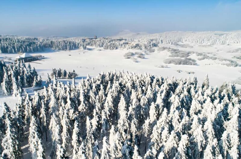 Chongqing: Fairy Mountain Forest Park Ticket - Exploring the Park: What to Expect