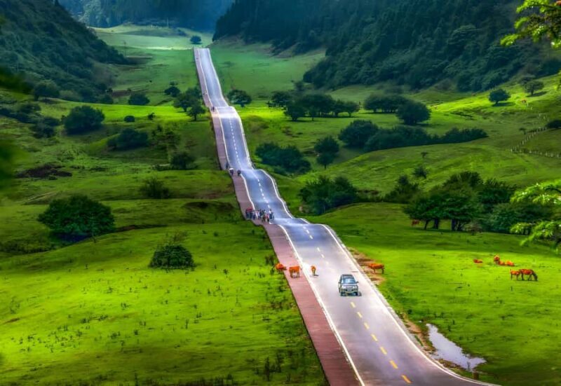 Chongqing: Fairy Mountain Forest Park Ticket - The Value of the Experience