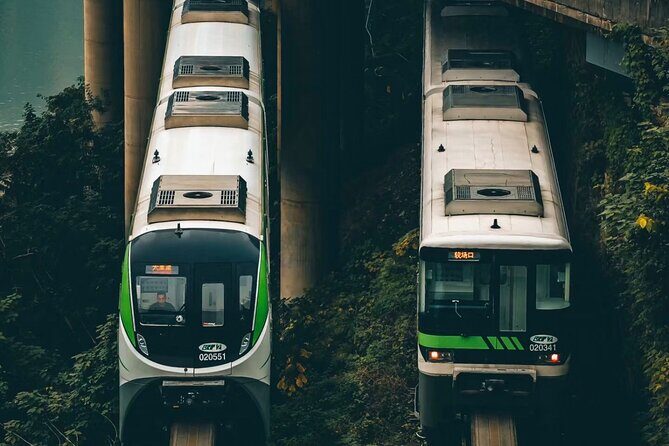 Chongqing Half-Day Tour Hongya Cave, Jiefangbei and Liziba - Key Points