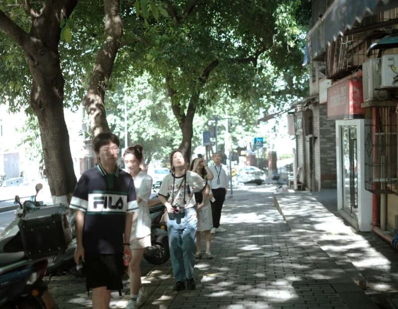 Chongqing: Hidden City Walking Tour with Local Guide - Starting Point and Access