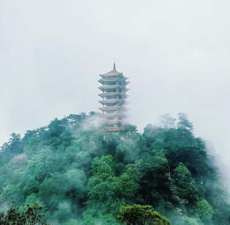 Chongqing: Jinyun Mountain, Museum & Old Street Tour - Practical Details & What to Expect