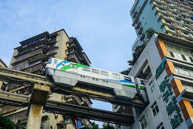 Chongqing Private Car Guided Tour:Must-sees All in One - Final Thoughts: Who Will Love This Tour?