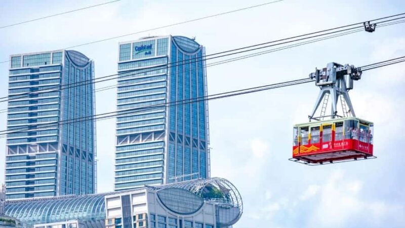 Chongqing: Private City Tour with Guide and Cableway - Key Points