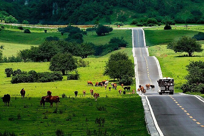 Chongqing Private Day Tour to Wulong Karst National Geology Park - Authenticity and Value: Why This Tour Stands Out