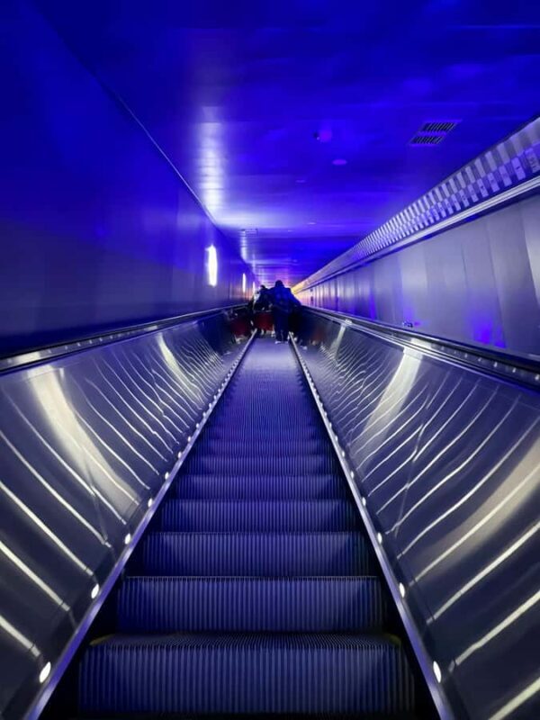 Chongqing: Underwater Museum, 816 Plant, Canyon Private Tour - Authentic Experiences and Traveler Feedback