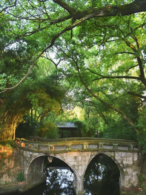 Chongqing Unveiled: Mountain City Trail & Flexible Itinerary - The Value of a Short, Focused Tour