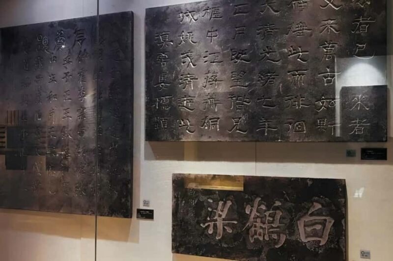 Chongqing: White Crane Ridge & 816 Underground Tour - Final Thoughts