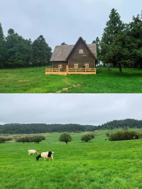 Chongqing: Wulong 2-Day Tour with Boat Cruise - Practical Aspects and What to Expect