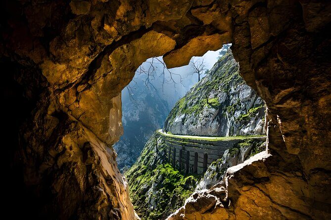 Chongqing Wulong National Park Private Nature Tour - Why This Tour Is Worth Considering