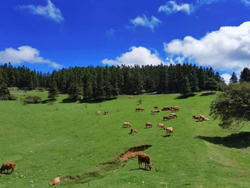 Chongqing Wulong Scenic Area Entry Ticket Options - Three Natural Bridges (Tian Sheng San Qiao)