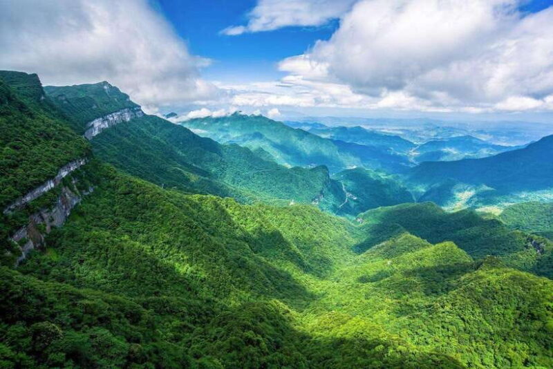 Chongqing:1-day Jinfoshan Mt hiketrip (licen guide,with car) - Who Will Love This Tour?