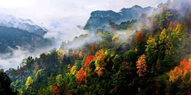 Chongqing:1-day Jinfoshan Mt hiketrip (licen guide,with car) - Final Thoughts