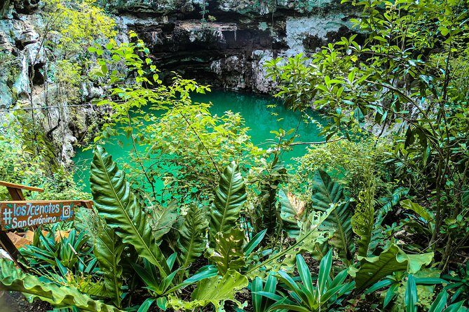 Choose your experience to live in Los 7 Cenotes San Gerónimo - Final thoughts: Is this tour worth it?