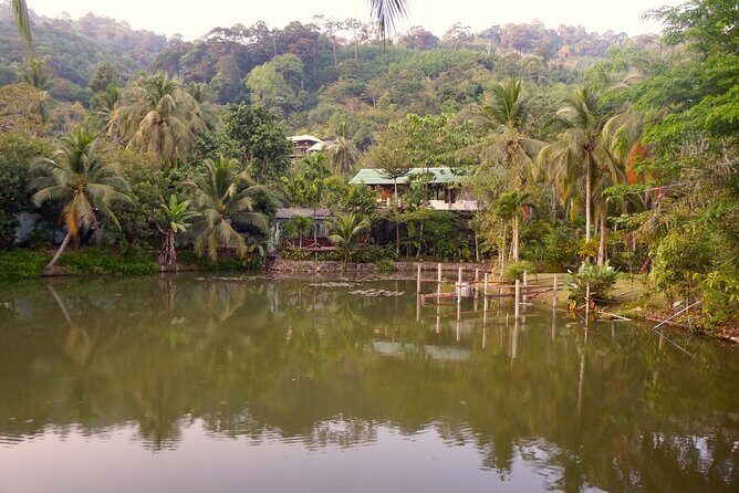 Choose Your Own Dishes: Half-Day Thai Cooking Class in Phuket - Who Will Love This Experience?