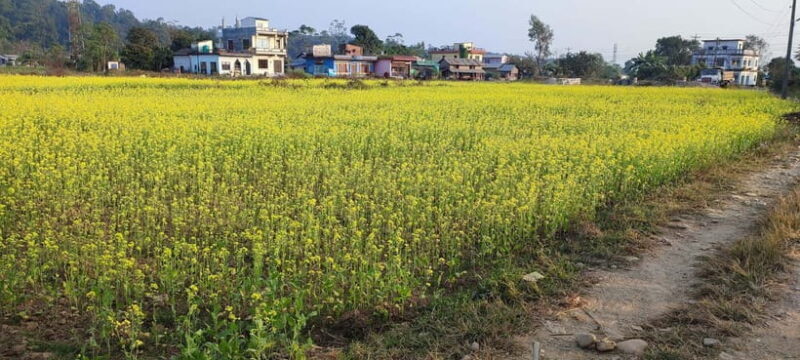 Chormara: Homestay, Meals, & Cultural Immersion Program - Introduction: What This Experience Offers