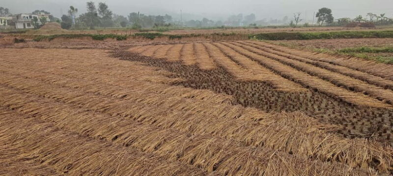 Chormara: Homestay, Meals, & Cultural Immersion Program - Possible Drawbacks or Considerations