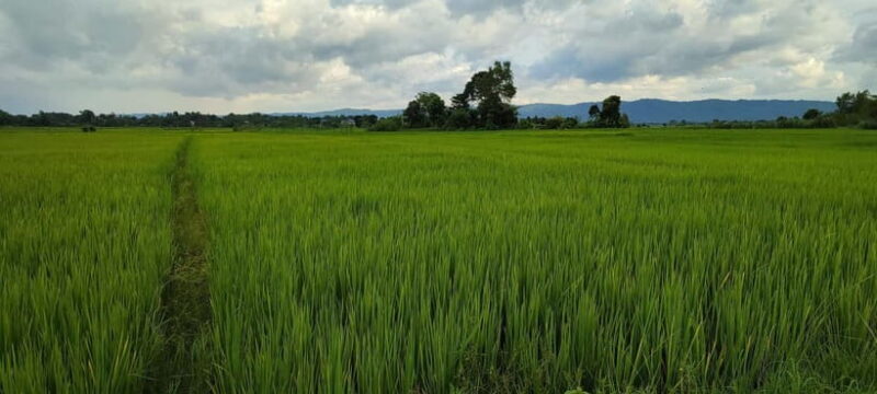 Chormara: Homestay, Meals, & Cultural Immersion Program - The Day-to-Day Itinerary: What to Expect