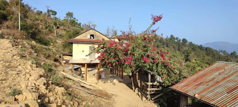 Chormara: Homestay, Meals, & Cultural Immersion Program - Who Will Get the Most Out of This Experience?