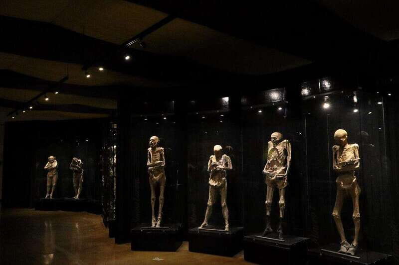 Christ the King Traveling Mummies VS El Santo and Catrinas - An In-Depth Look at the Tour Experience