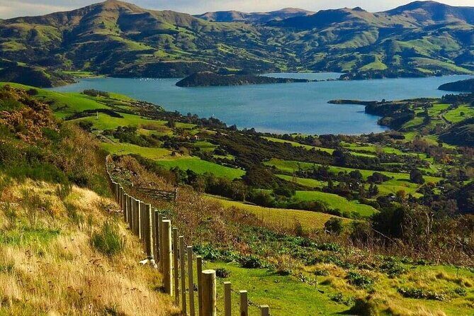 Christchurch Architectural Marvels: Private Walking Tour - FAQs