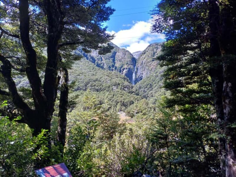 Christchurch: Arthur's Pass & Castle Hill Scenic Day Tour - Who Should Consider This Tour?