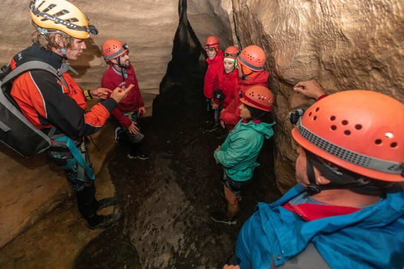 Christchurch: Cave Stream & Castle Hill Tour - Authentic Experiences and Traveler Feedback