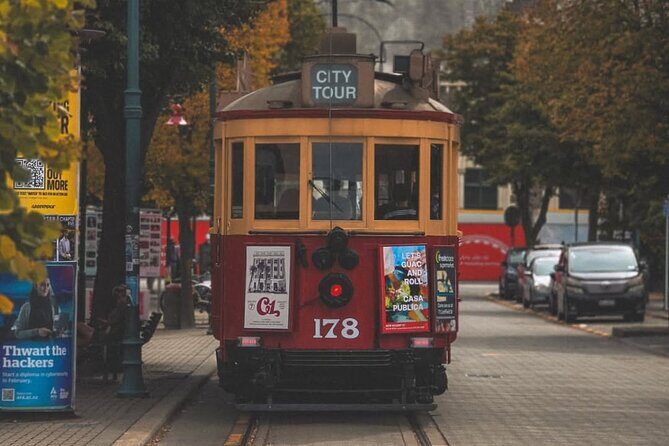 Christchurch City Full Day Tour - The Highlights: What You Can Expect