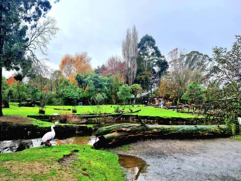 Christchurch City Highlights Half Day Tour - FAQ