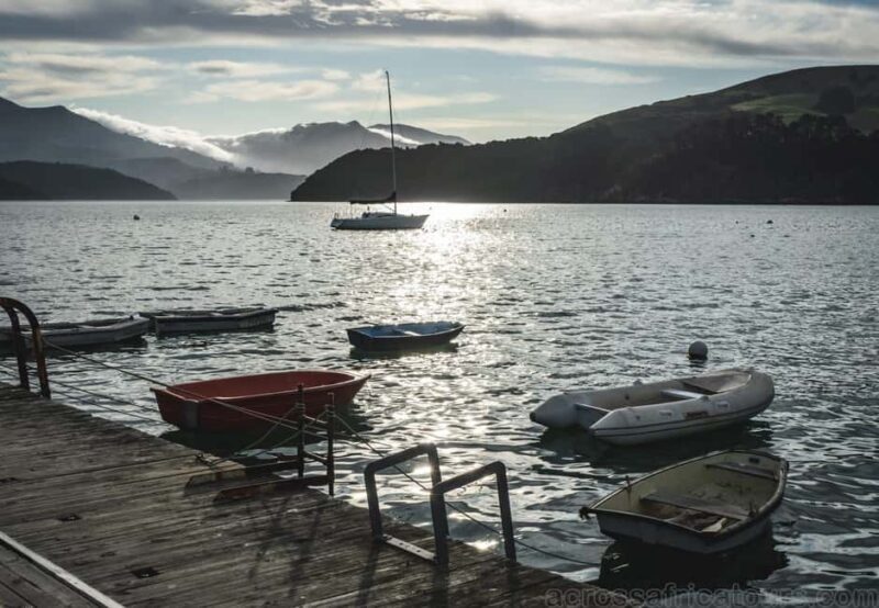 Christchurch City & Jetboat Adventure from Akaroa - Who Should Consider This Tour?