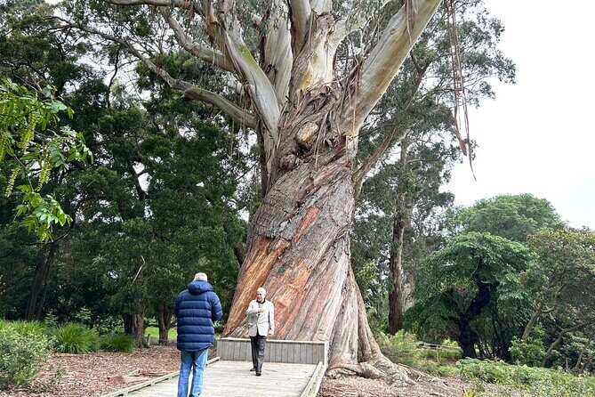 Christchurch City Top Sights Half Day Tour(Small Group Tour) - Who Will Love This Tour?