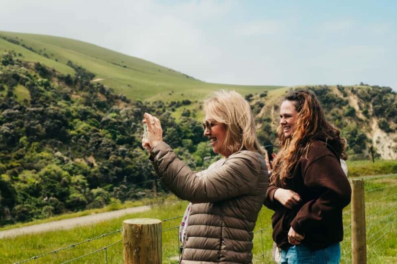 Christchurch City Top Spots Private Half Day Tour - The Bottom Line: Is This Tour Worth It?