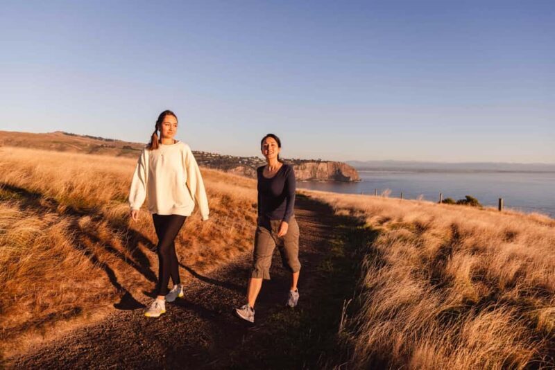 Christchurch: Godley Head & Lyttelton Guided Walking Tour - Authentic Insights from Reviewers
