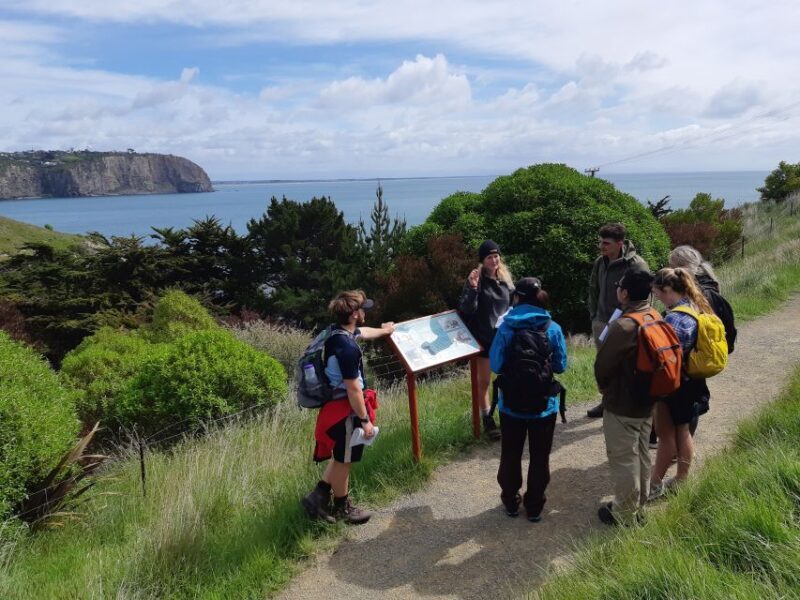 Christchurch: Godley Head & Lyttelton Guided Walking Tour - The Sum Up