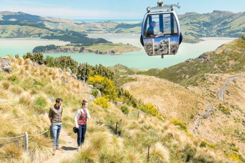 Christchurch Gondola and Tram City Tour Combo - FAQ