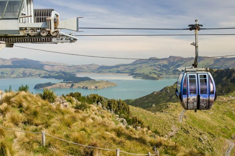 Christchurch: Gondola Ticket and Punt Ride on the Avon River - Christchurch: Gondola Ticket and Punt Ride on the Avon River — A Practical, Authentic Glimpse of the South Island