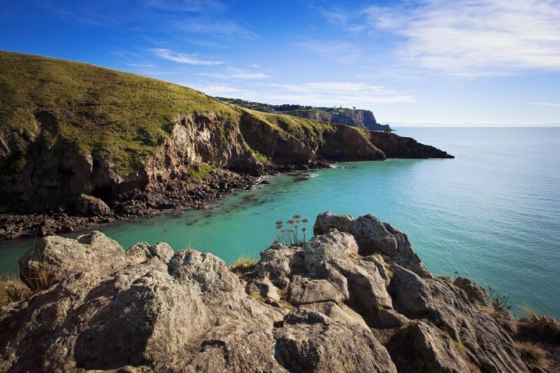 Christchurch: Guided Crater Rim Walk with Picnic - Key Points