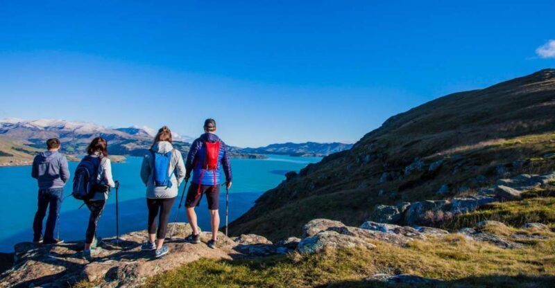 Christchurch: Guided Crater Rim Walk with Picnic - Potential Drawbacks
