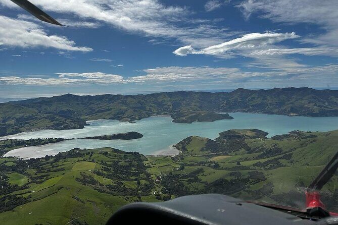 Christchurch Helicopter Picnic - What Travelers Are Saying