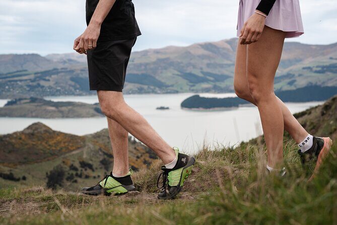 Christchurch Highlights Tour (Full Day Private) - A Detailed Look at the Christchurch Highlights Tour