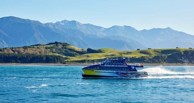 Christchurch: Kaikoura Whale Watching Day Tour - Key Points