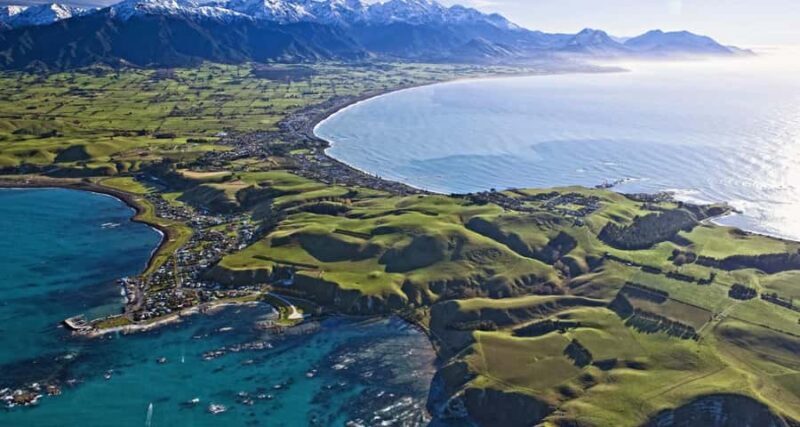 Christchurch: Kaikoura Whale Watching Day Tour - Setting the Scene: What You Can Expect