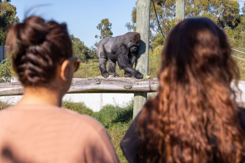 Christchurch: Orana Wildlife Park Admission - What People Are Saying