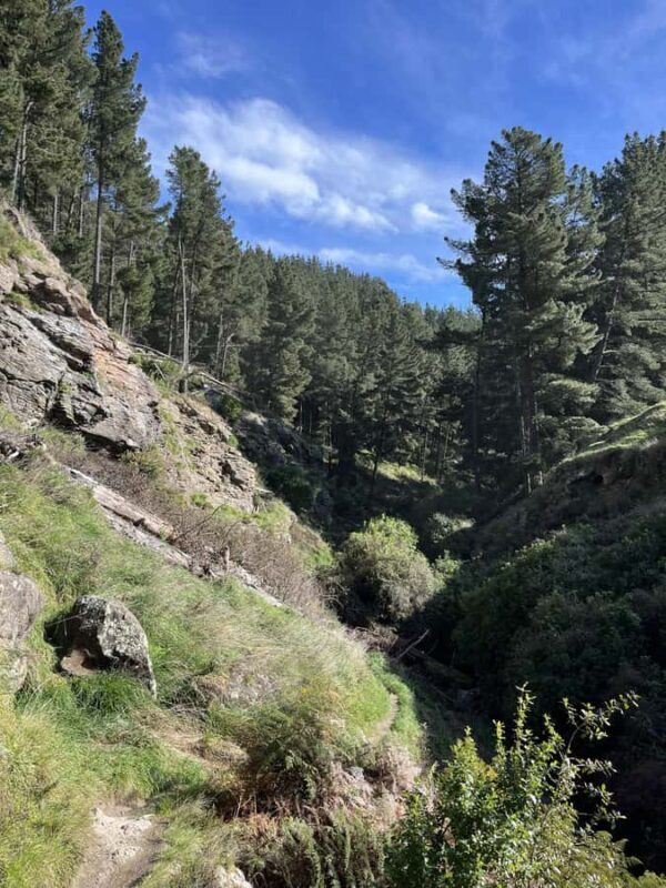 Christchurch: Port Hills Full-Day Trail Running Tour - Key Points