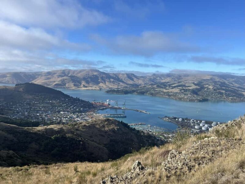 Christchurch: Port Hills Full-Day Trail Running Tour - An In-Depth Look at the Christchurch Port Hills Trail Running Experience
