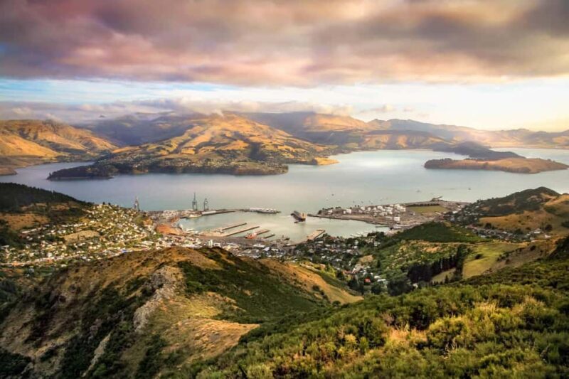 Christchurch: Private Full-Day City Tour - Why Choose This Tour?