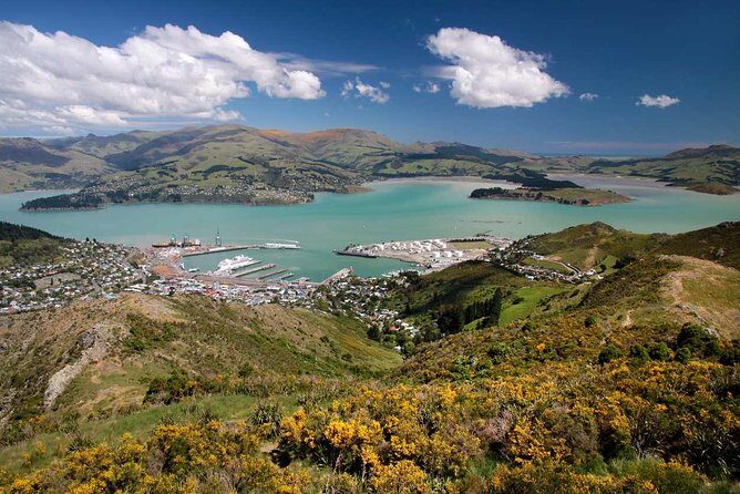 Christchurch Private Luxury Full Day Tour - The Itinerary Breakdown: What To Expect