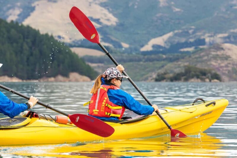 Christchurch: Sea Kayaking Tour of Lyttelton Harbour - Why This Tour Offers Great Value