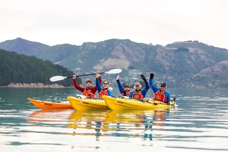 Christchurch: Sea Kayaking Tour of Lyttelton Harbour - In The Sum Up: Is It Worth It?