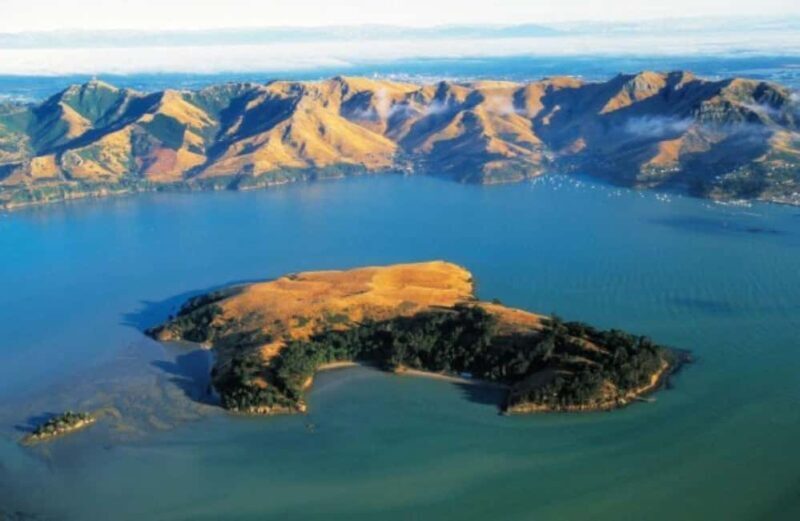 Christchurch: Sea Kayaking Tour of Lyttelton Harbour - Frequently Asked Questions