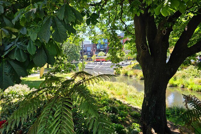 Christchurch Secret Inner City Walking Tour and Hidden Gems - Authentic Experiences and Authentic Stories
